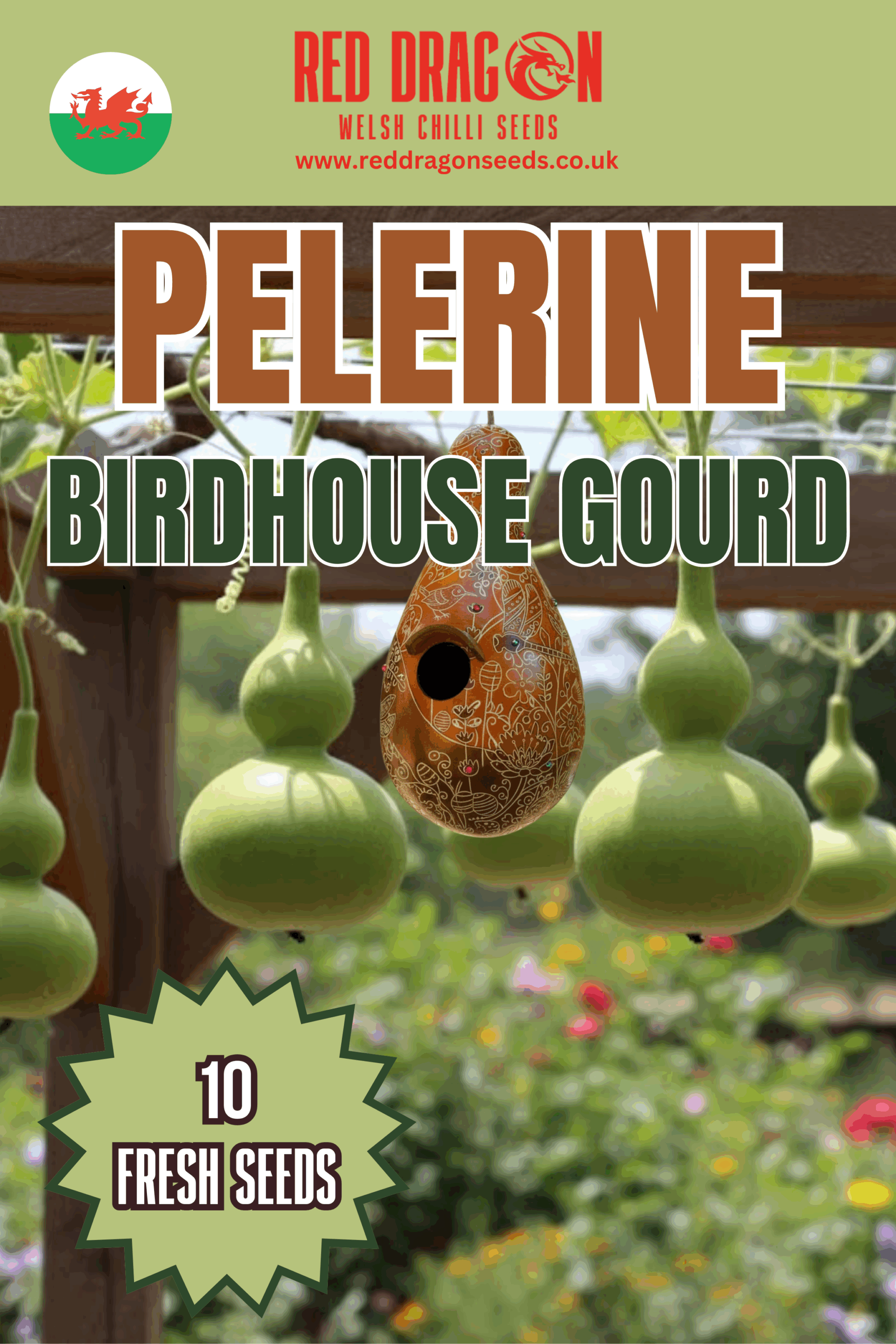 Pelerine Birdhouse Gourd Seeds - Classic birdhouse gourds for crafting ...