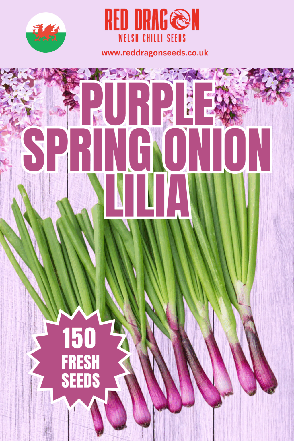 Purple Lilia Spring Onion Seeds - Colourful, mild spring onions for ...