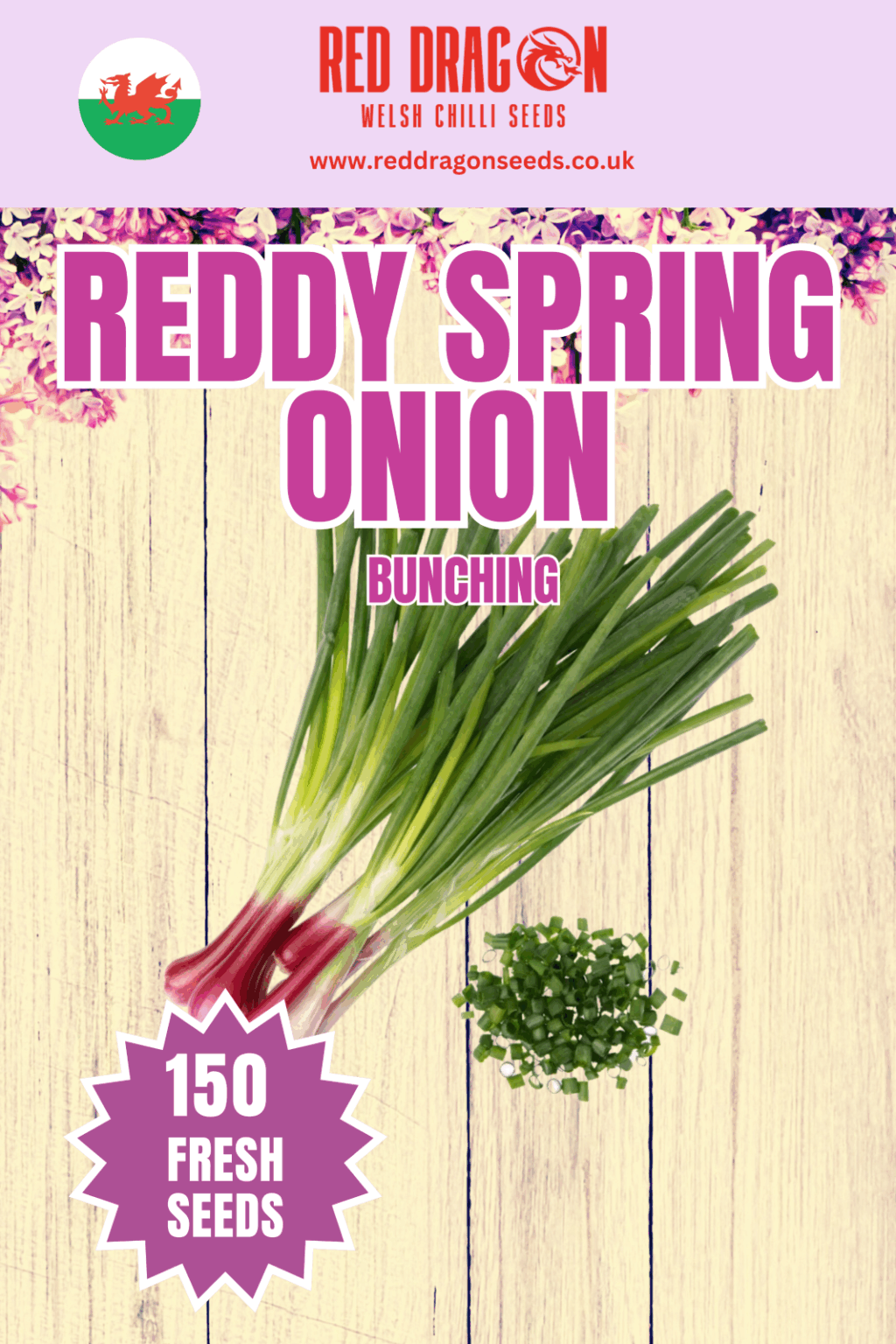 Reddy Spring Onion Seeds - Red-based bunching onions for cooking and ...