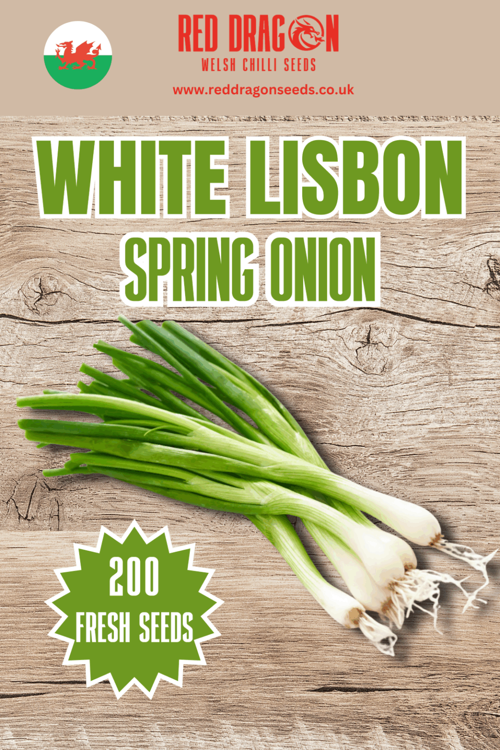 White Lisbon Spring Onion Seeds - Classic, mild spring onions for ...