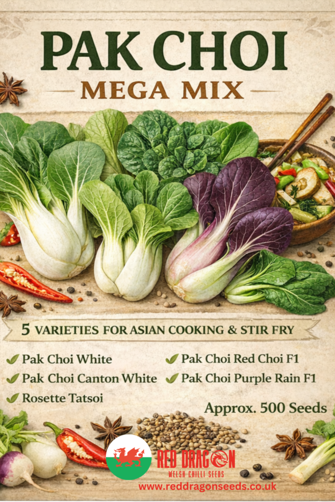 Pak Choi Mega Mix Seeds | Asian Greens | Fast Growing Stir Fry Mix ...